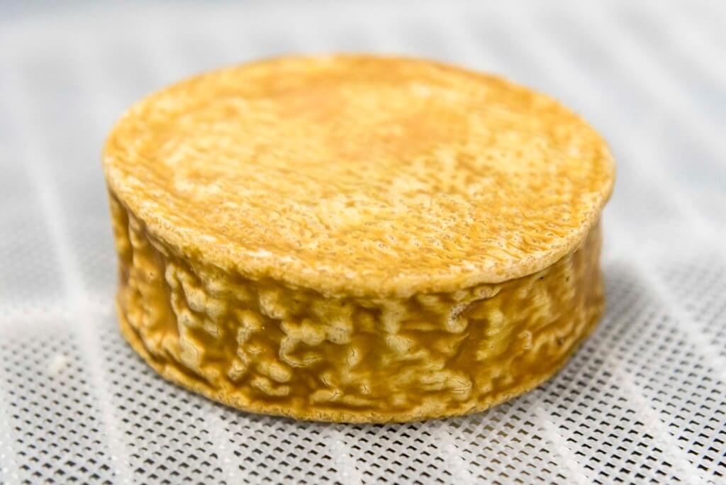 57-INET- 2016-04-28 -NEPAL-Francois-Cheese Factory-3308 | Himalayan ... 57-INET- 2016-04-28 -NEPAL-Francois-Cheese Factory-3308 | Himalayan ...